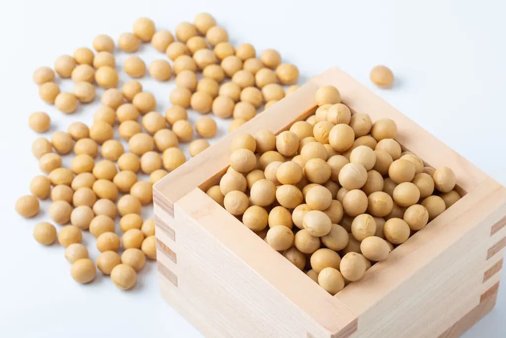 Vše o sóje: Víte, že ji jíte nevědomky? (velký souhrn)